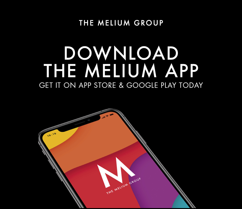 MELIUM GOES DIGITAL – The Melium Group