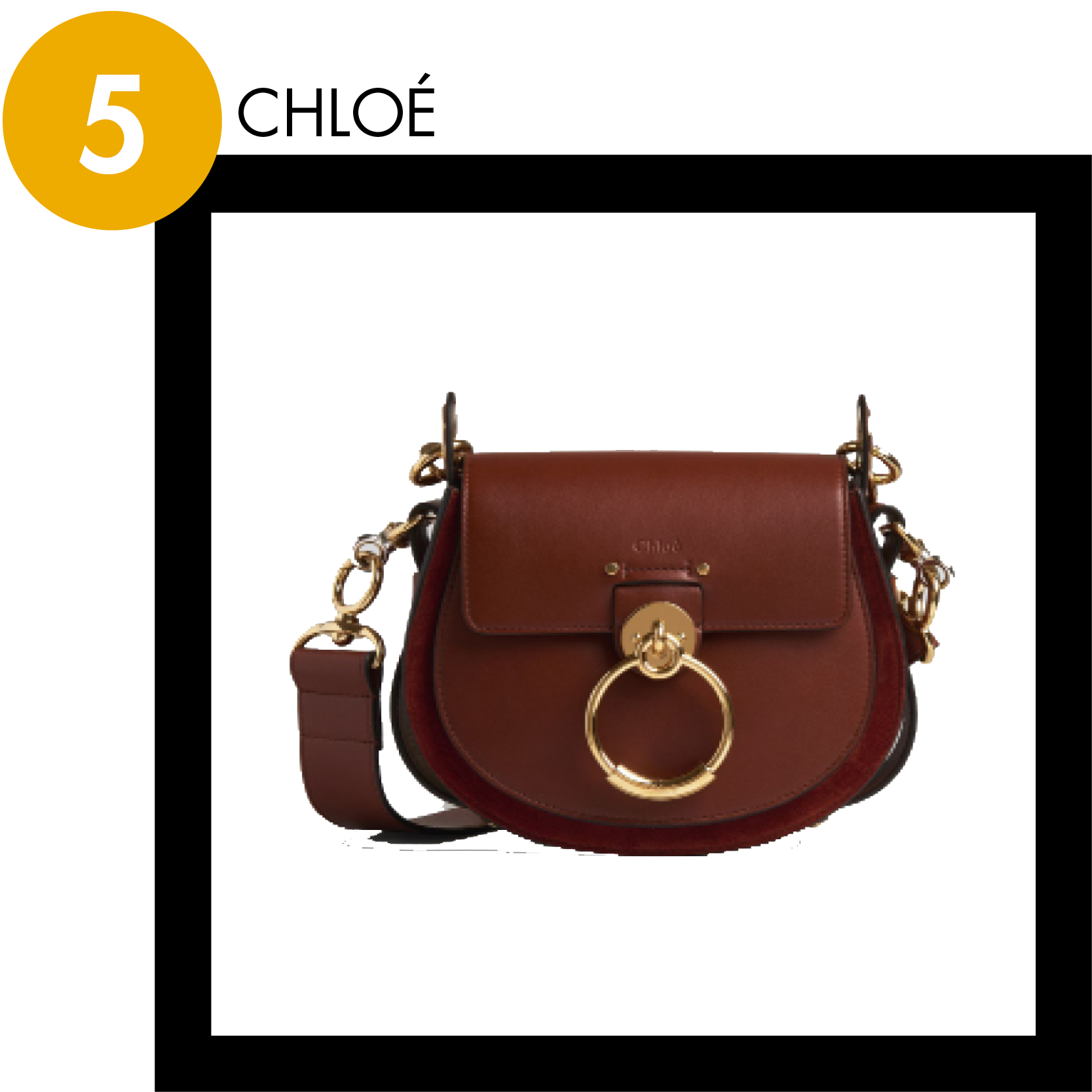 CHLOE 5 – The Melium Group